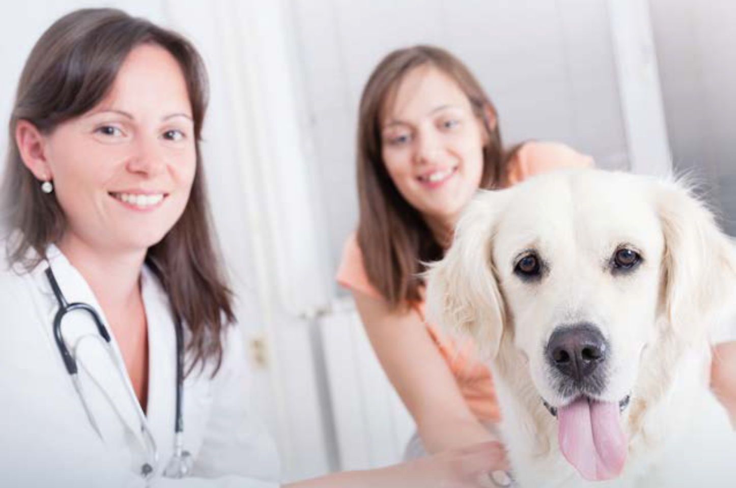 Veterinární řada krmiva pro psy a kočky | HAPPYDOG.CZ